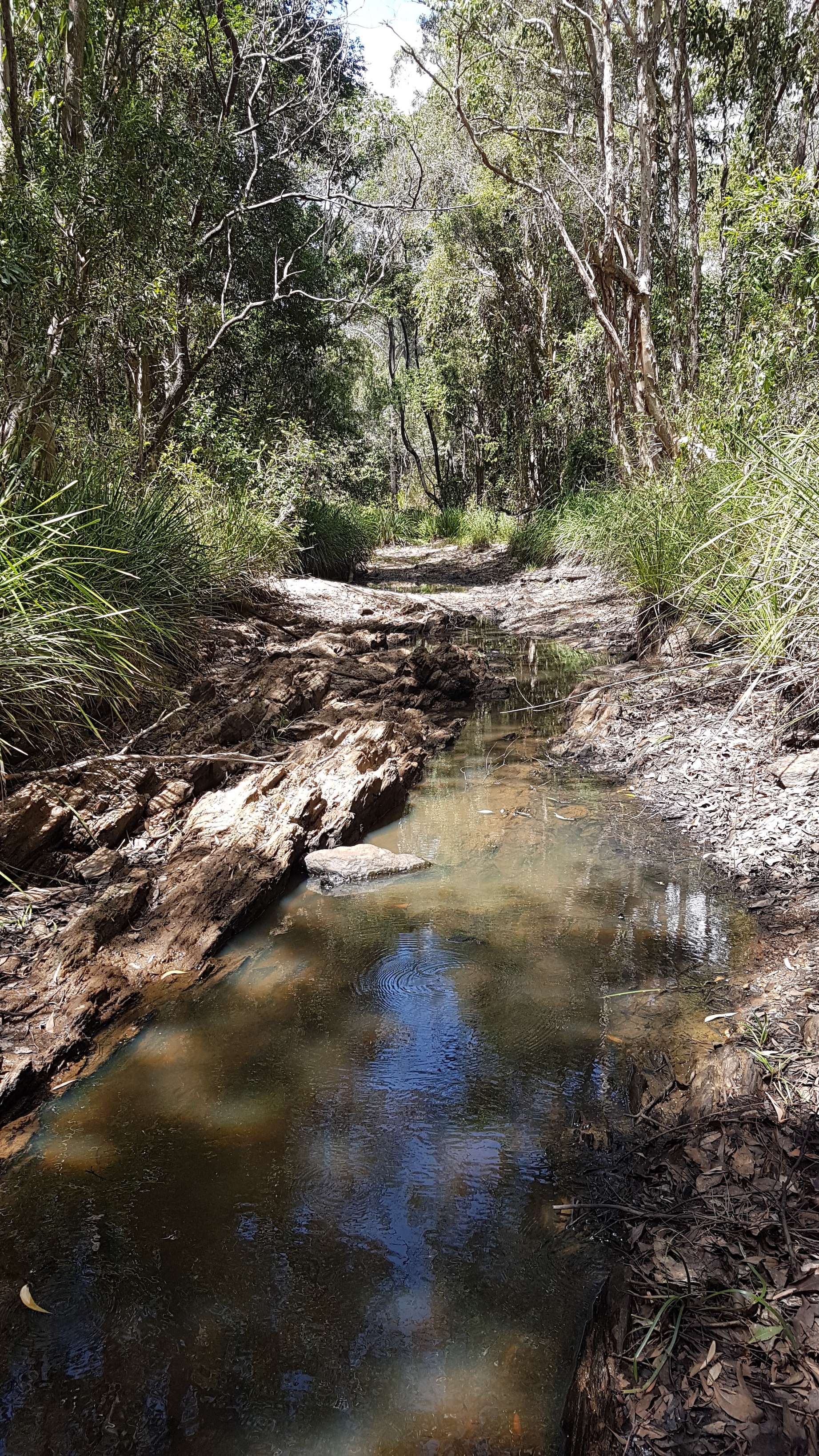 Windaroo Creek holds significant Cultural Heritage – Jabree Ltd